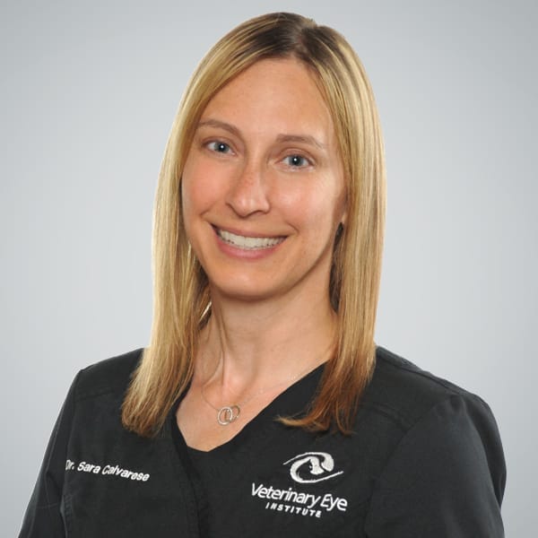 Sara Calvarese - Veterinary Eye Institute